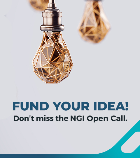 Next Generation Internet